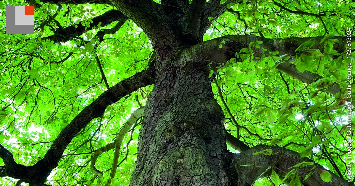 Nachhaltigkeit Unternehmen und Erfolgspotenziale nutzen